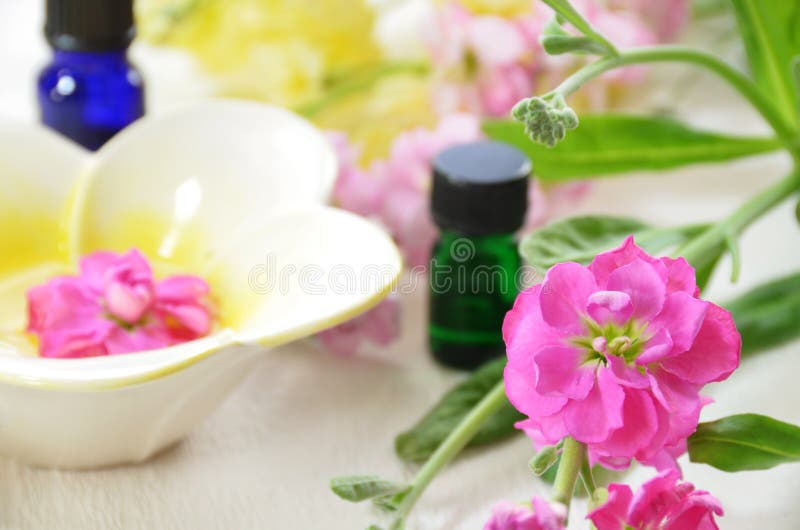 Aromatherapy treatment stock photo. Image of pink, bottle - 36293342