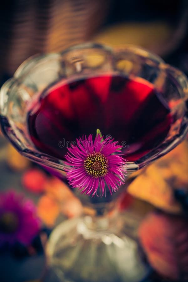 Aromatic Alcohol Cup Tincture Chokeberry Stock Photo - Image of alcohol ...