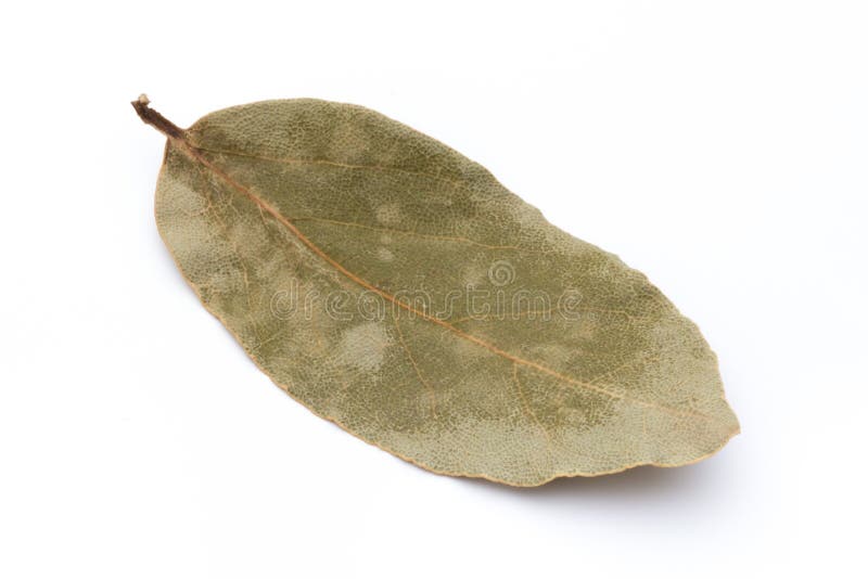 Aromatic Bay Leaves on White Background Stock Image - Image of macro ...