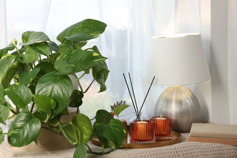 Aromatic Candles, Reed Diffuser, Lamp and Plant Near Window Indoors ...