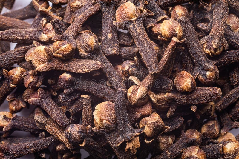 Aromatic Cloves for Cooking Stock Image - Image of aromaticum, close ...