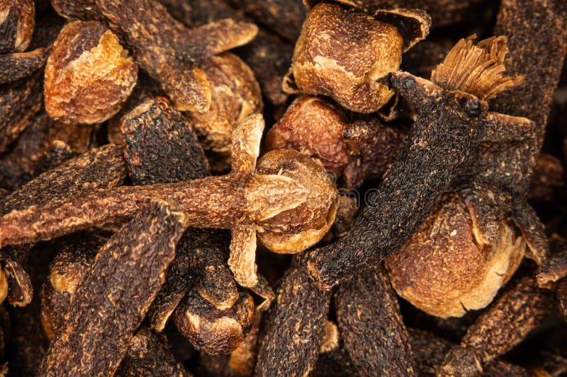 Aromatic Cloves for Cooking Stock Image - Image of asia, syzygium ...