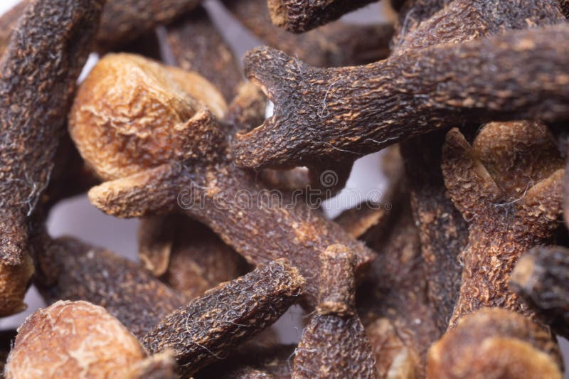 Aromatic Cloves for Cooking Stock Photo - Image of syzygium, food ...