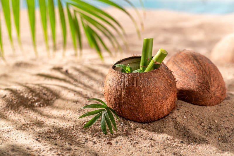 Aromatic Coconut Milk in Shell on a Resort Sandy Beach Stock Image ...