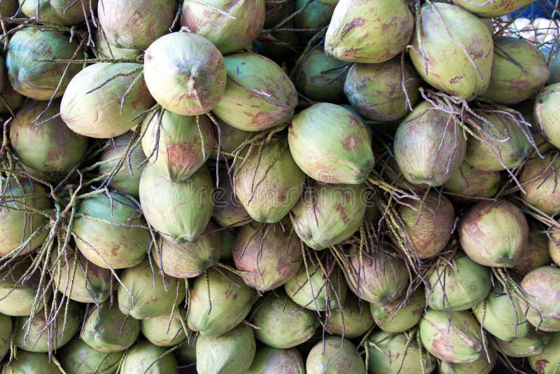 Aromatic coconut stackable stock photo. Image of sweet - 75197850