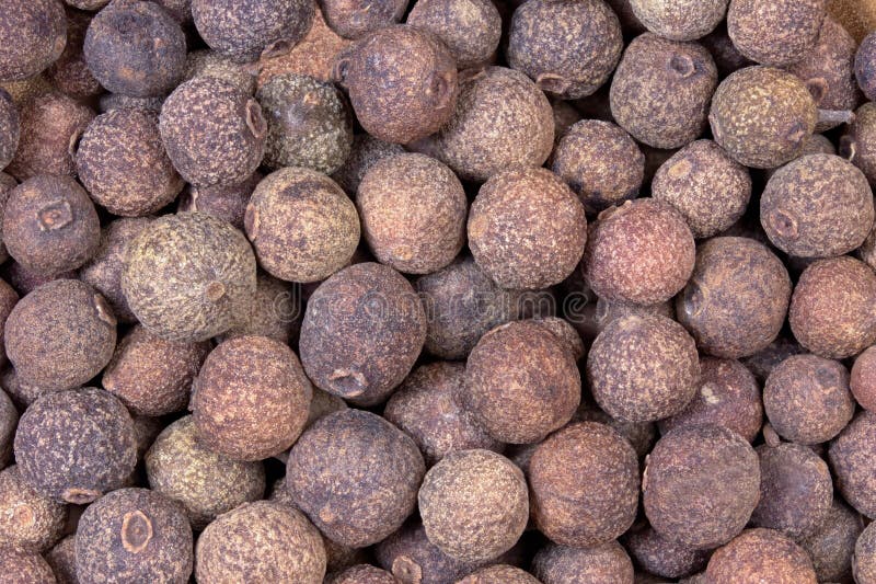 Aromatic Fragrant Black Pepper Stock Photo - Image of aromatic, pepper ...