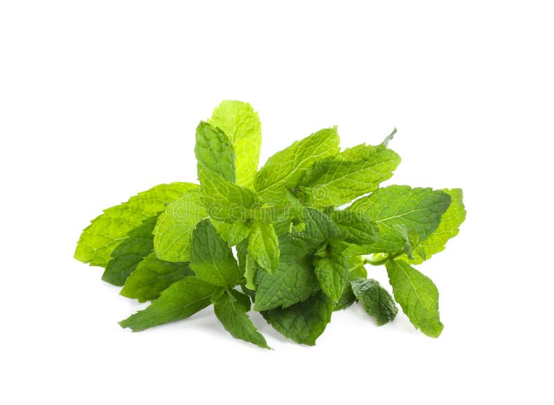 Aromatic Fresh Mint Leaves on Background Stock Image - Image of mint ...