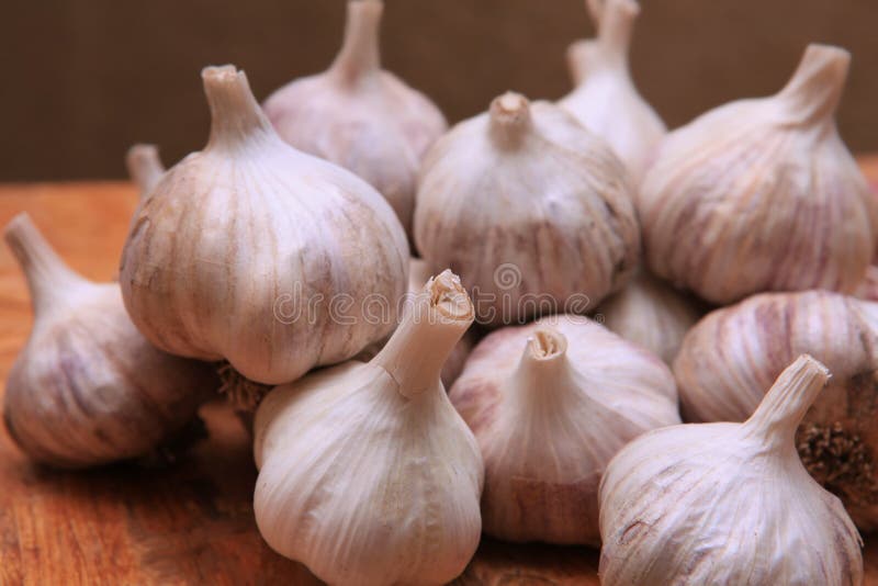 Aromatic Garlic Small Group Stock Photo - Image of knots, fresh: 107132058