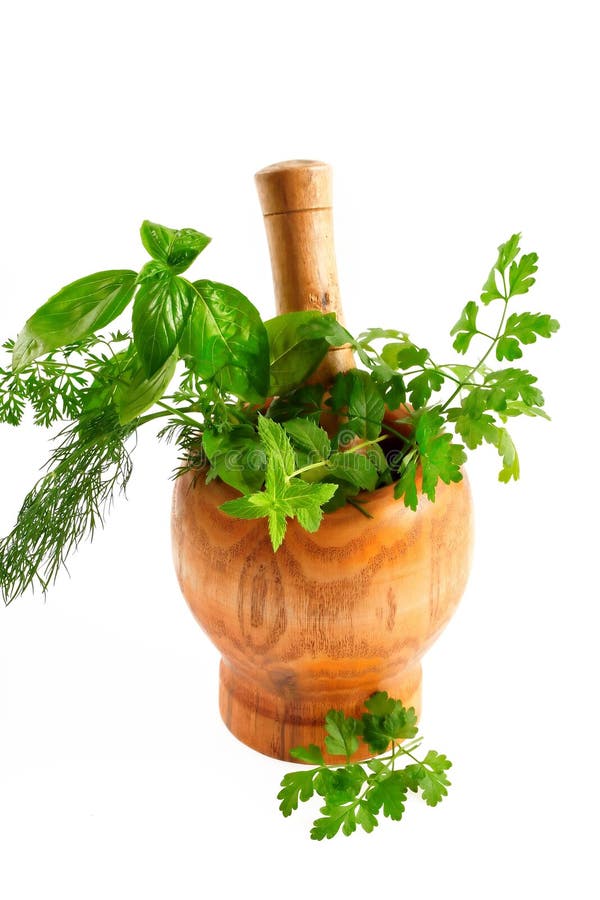 Aromatic herbs stock photo. Image of organic, botanical - 11276834