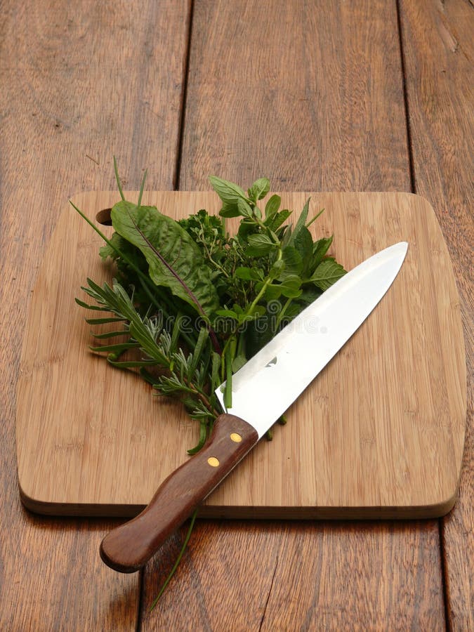 Aromatic herbs stock image. Image of medicine, herbs - 20959841