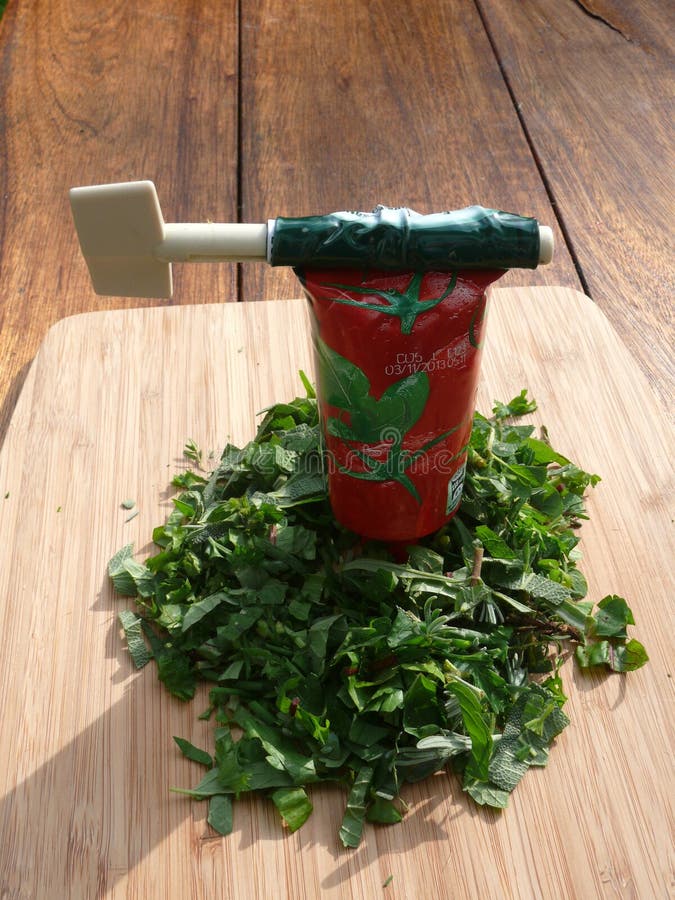 Aromatic herbs stock image. Image of herbs, fresh, mint - 20960089