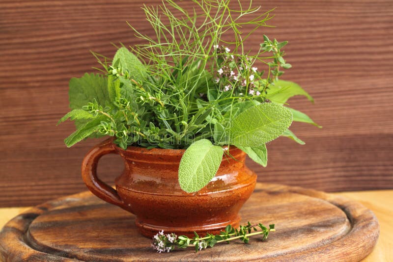 Aromatic herbs stock image. Image of ingredient, lemon - 25196167