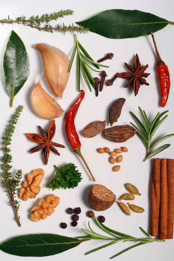 Aromatic herbs stock image. Image of thyme, seed, cooking - 3296071