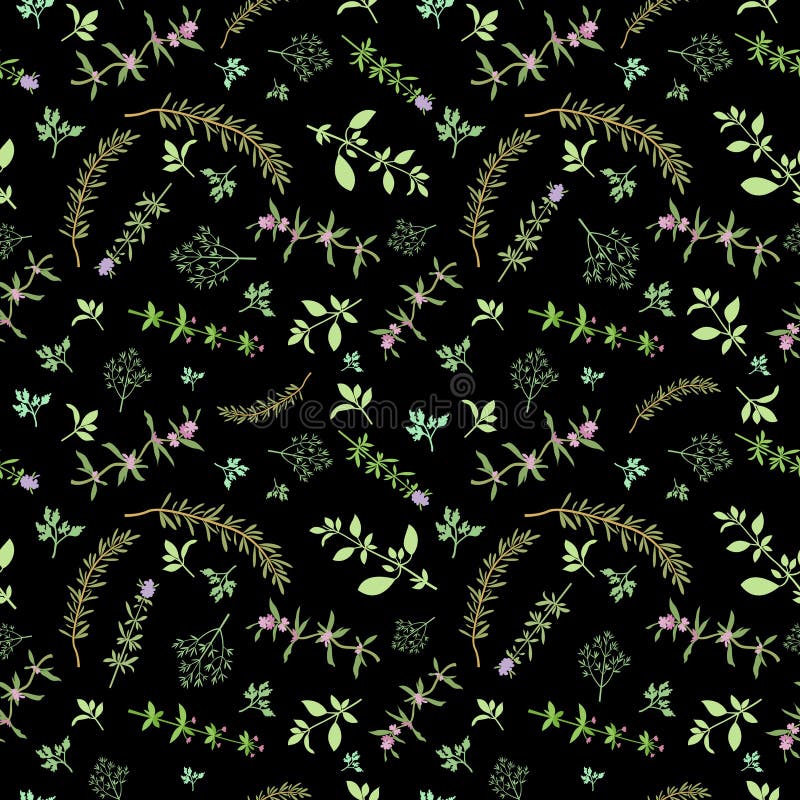 Aromatic Herbs Seamless Pattern Stock Vector - Illustration of branch ...