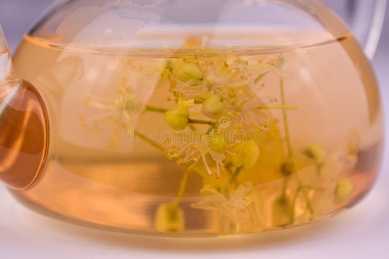 Aromatic Linden Flower Tea in a Transparent Teapot. Close-up of Tea ...