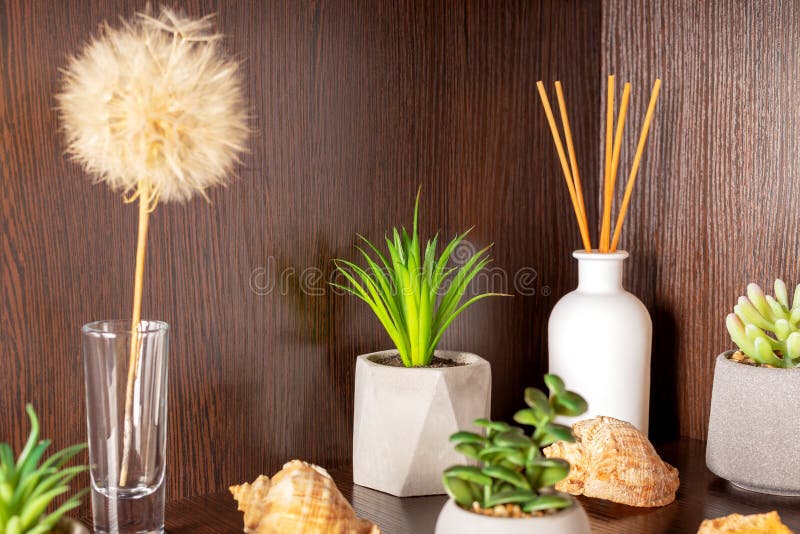 Aromatic Reed Diffuser and Succulents Stock Photo - Image of dandelion ...