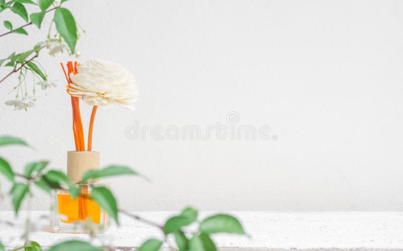 Aromatic Reed Freshener, Fragrance Diffuser Set of Bottle with Aroma ...