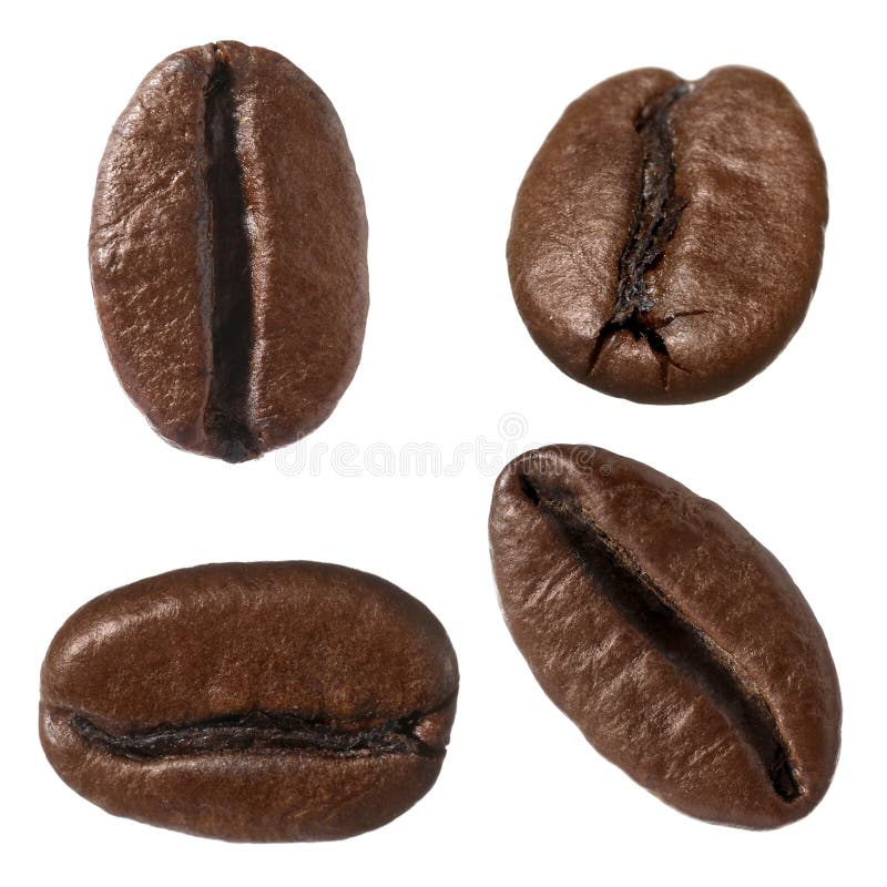 One Aromatic Roasted Coffee Bean Isolated Stock Image - Image of ...