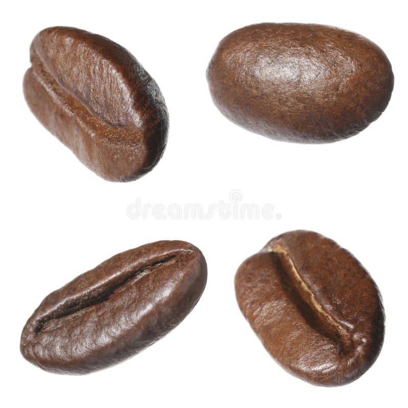One Aromatic Roasted Coffee Bean Isolated Stock Image - Image of ...