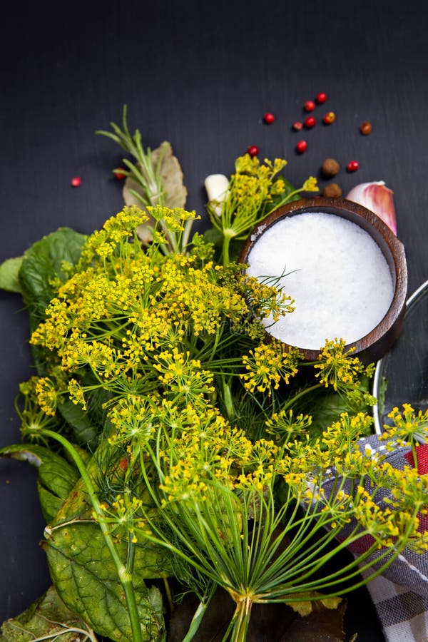 Aromatic Spices for Canning Vegetables and Mushrooms on Dark Ba Stock ...