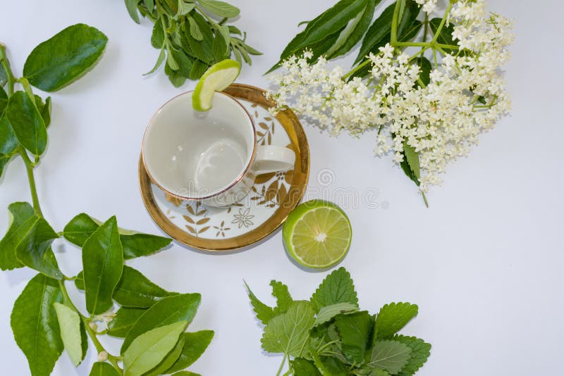 Aromatic Water Surrounded by Medicinal Herbs Ann Lemon Stock Photo ...
