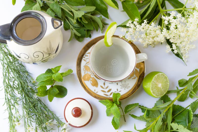 Aromatic Water Surrounded by Medicinal Herbs Ann Lemon Stock Image ...