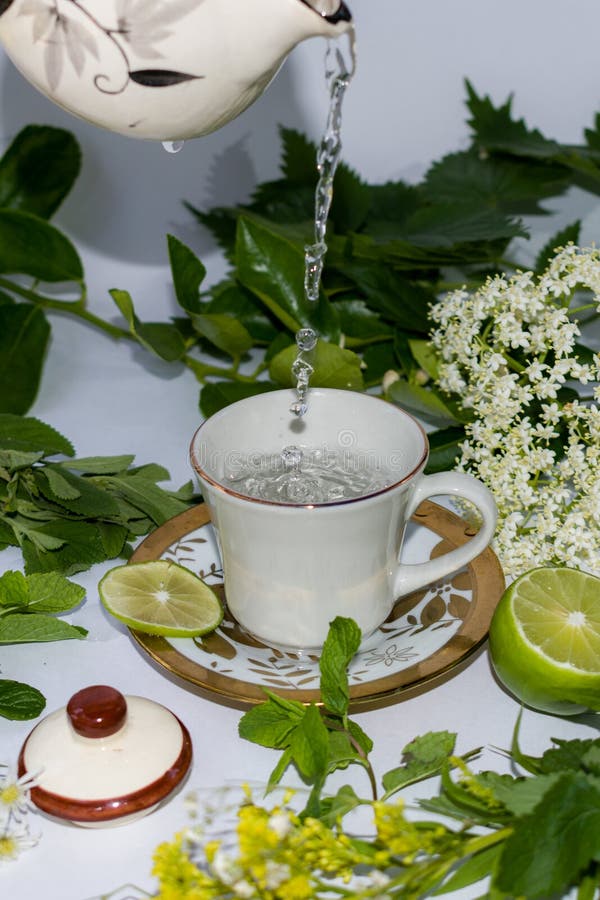 AROMATIC WATER SURROUNDED by MEDICINAL HERBS ANN LEMON Stock Image ...