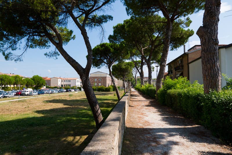 Around the Tree-lined Streets of Ravenna Stock Photo - Image of park ...