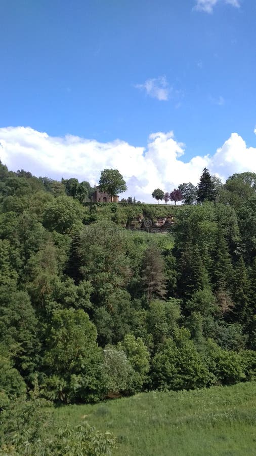 Nature stock photo. Image of distance, trees, grass - 120582806