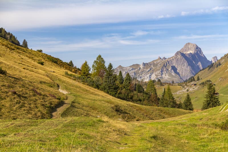Around Warth in Austria stock image. Image of meadow - 233044145