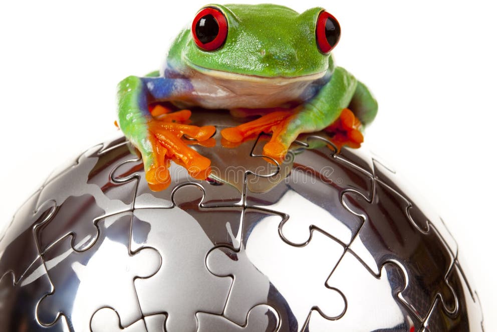 Around the World! stock photo. Image of orange, callidryas - 12531014