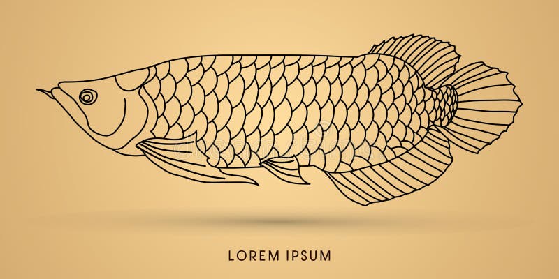 Arowana Fish Graphic Vector. Stock Vector - Illustration of graphic ...