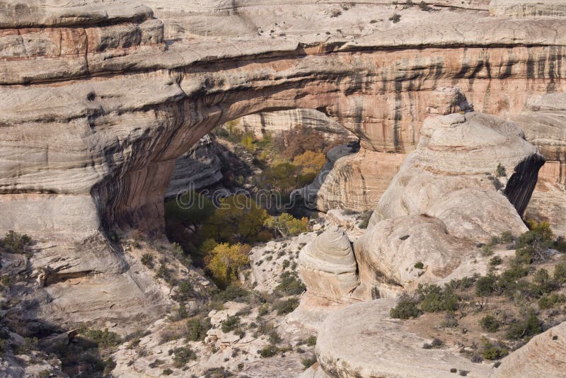 Arque Le Stationnement National Image stock - Image du voûtes, désert ...
