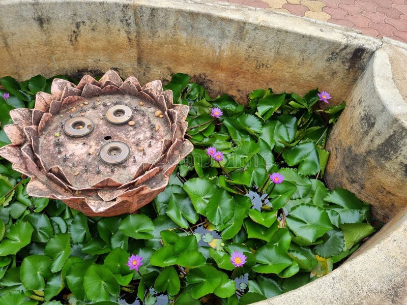 Arquitectura De Estilo Indio Con Estanque De Loto Rosa Foto de archivo ...