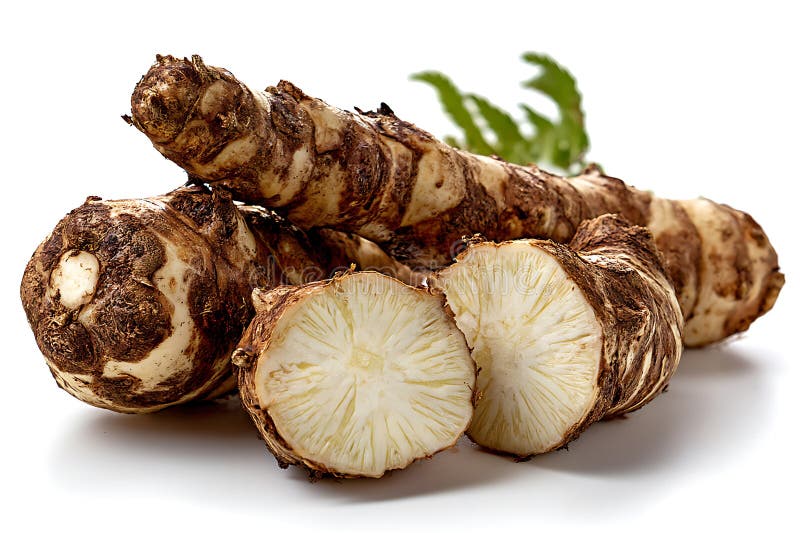 Arracacha Roots Stock Illustrations – 4 Arracacha Roots Stock ...