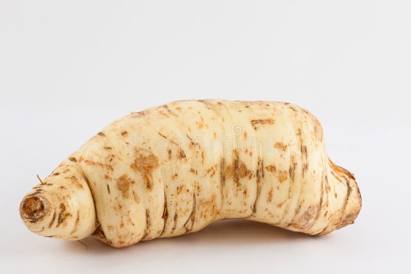 Arracacha - Arracacia Xanthorrhiza - Arracache, Sellericriollo, Racacha ...