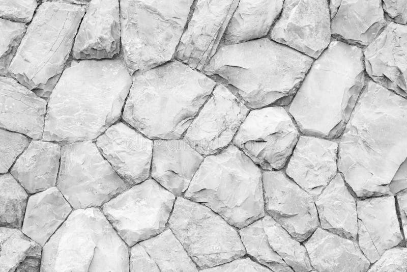 Compositional Unity In Photography