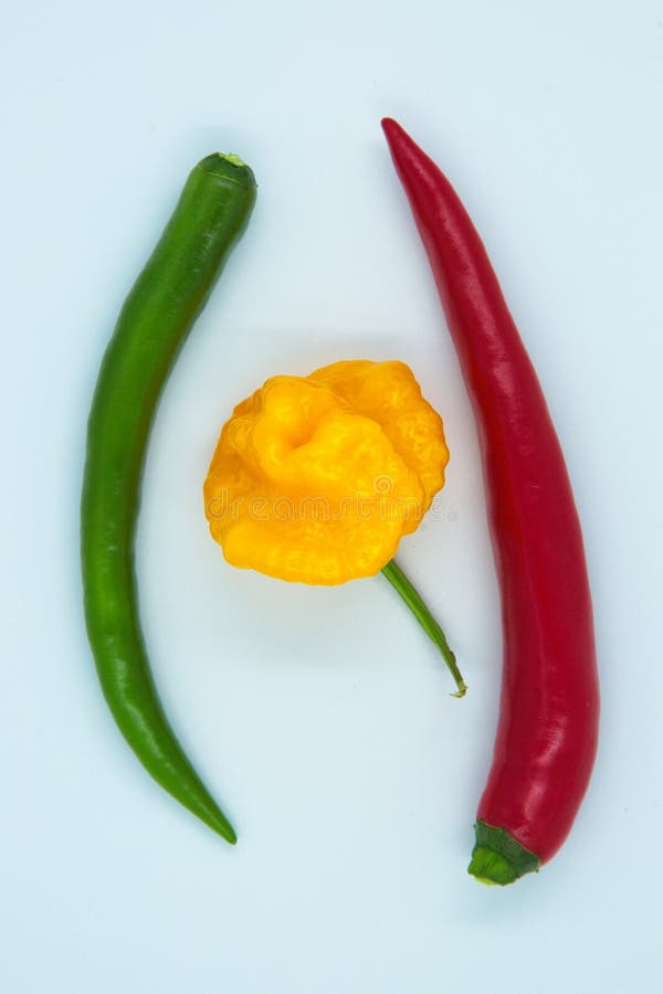 Collection of Multicoloured Chili Peppers Stock Image - Image of color ...