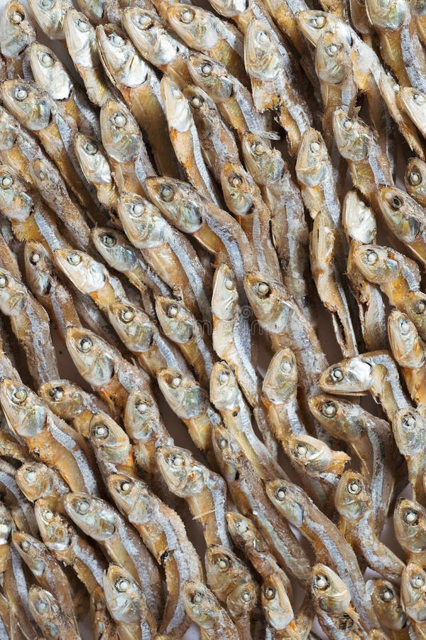 Arranged Small Dried Fish Pattern Stock Image - Image of cooking, fish ...
