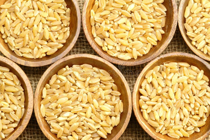 Arranged wheat cups stock image. Image of seed, health - 126728665