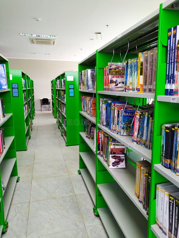 Arrangement of Books on Shelves in the Library Stock Image - Image of building, bookcase: 262323765