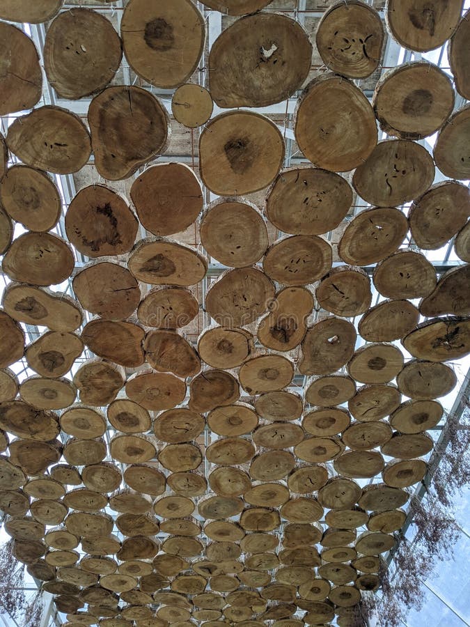 The Arrangement of Chopped Tree As a Roof Stock Photo - Image of ...