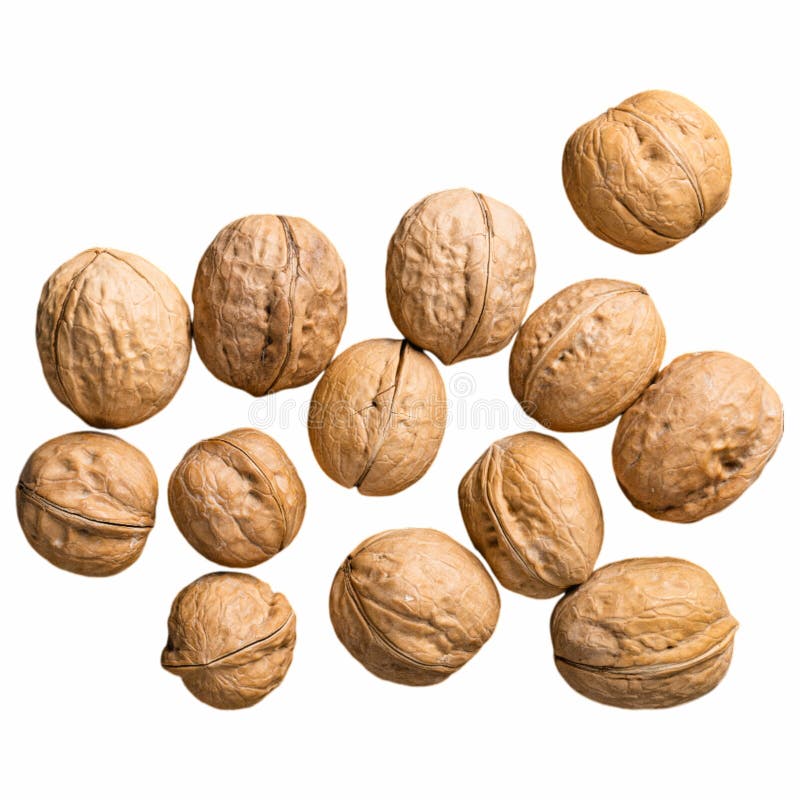 This Arrangement Features Multiple Whole Walnuts with Textured Brown ...