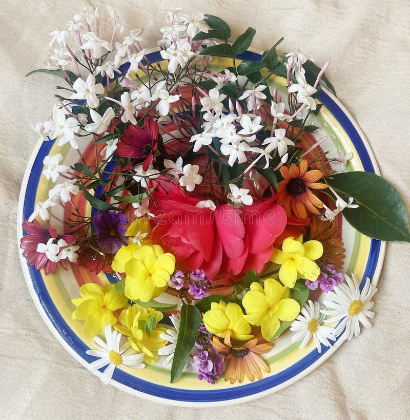 Arrangement of Flowers Floating in Water Stock Photo - Image of blooms ...