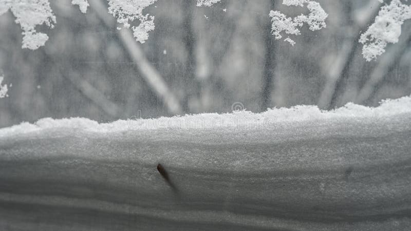 Texture Layers of Earth. Cross Section of Brown Underground Soil Layers ...