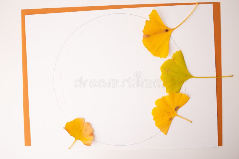 Arrangement of the Leaves and the Contrasting Colors Stock Image ...