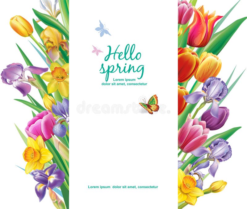 Arrangement with Multicolor Spring Flowers Stock Vector - Illustration ...