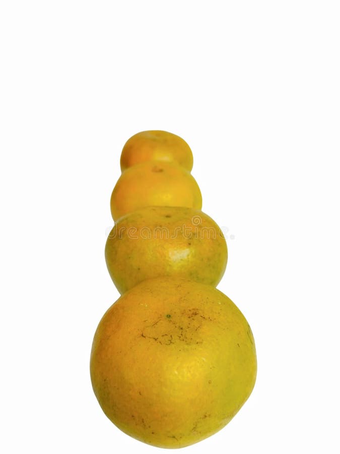 Arrangement of Oranges in a Vertical Row on White Stock Photo - Image ...
