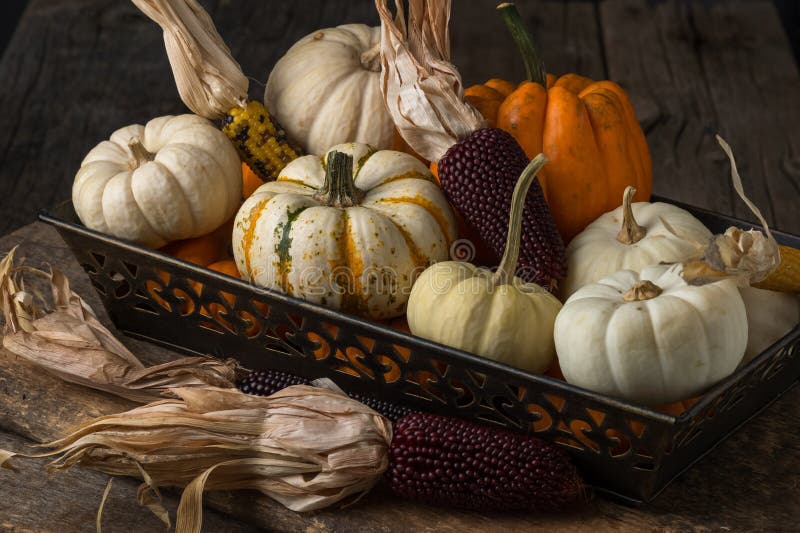 Arrangement of Pumpkins and Dried Corn Stock Image - Image of pumpkins ...
