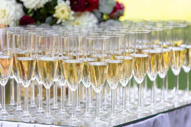 Array of Champagne Glasses on Display at a Celebration Event Stock ...